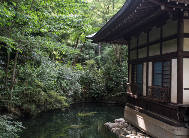 Park Love – Inokashira Park – Zuri Zuberi